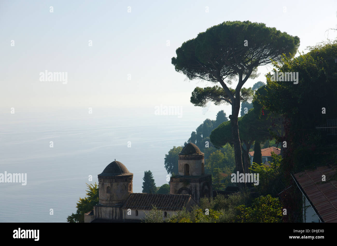 Canopy of tree hi-res stock photography and images - Alamy