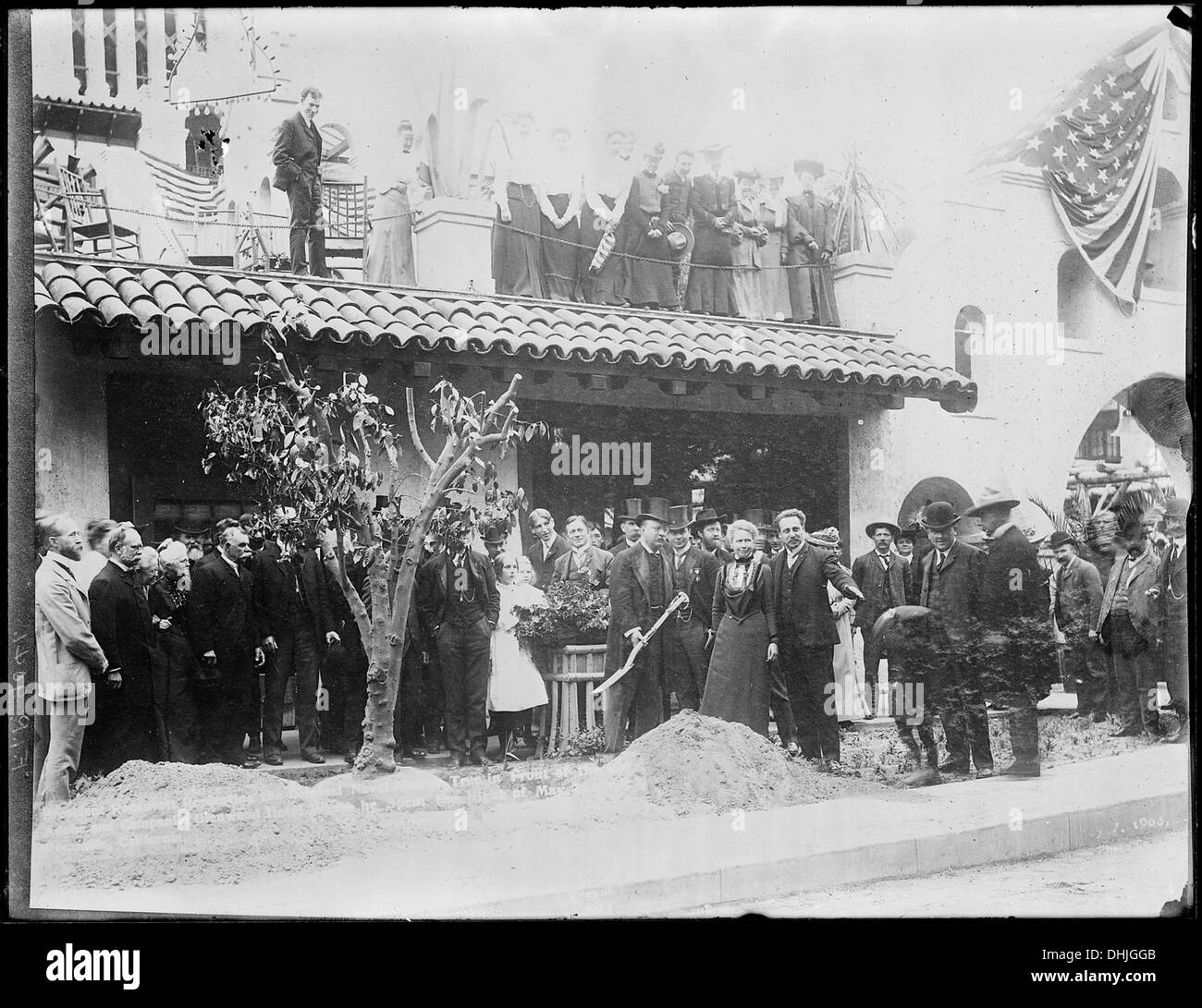 President Theodore Roosevelt is shown replanting a Bahia tree ...