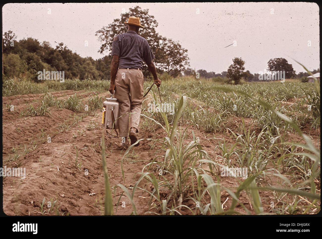 The image shows a process of spraying pesticides in an agricultural ...