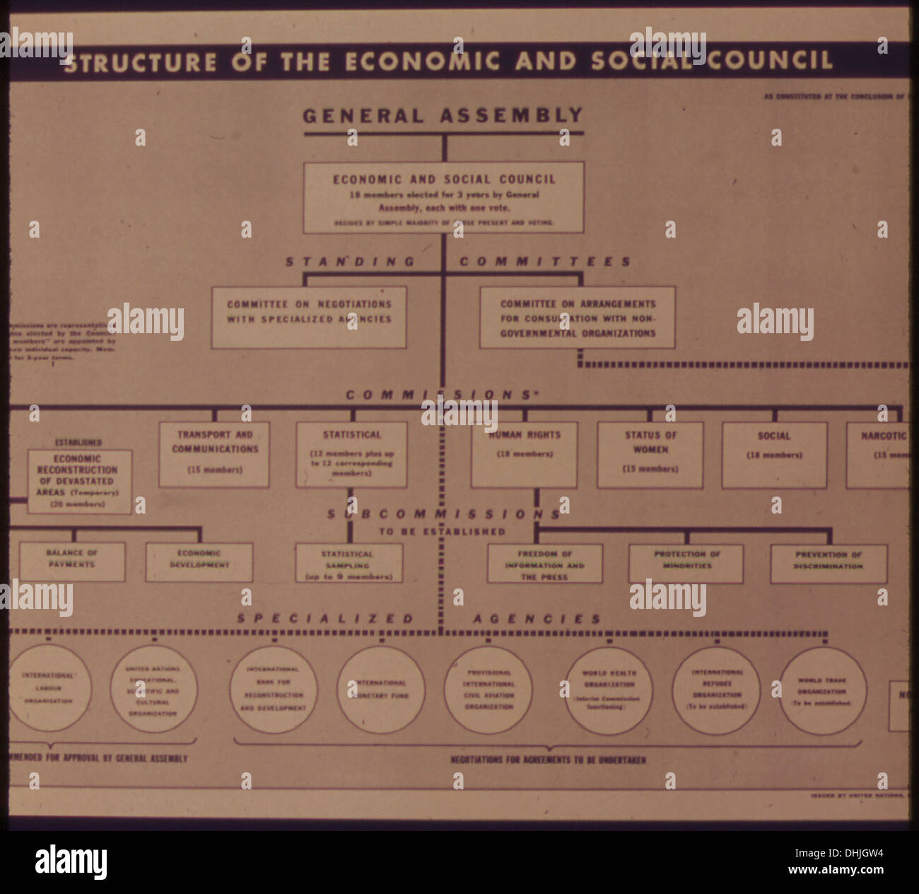 Principal organs of un hi-res stock photography and images - Alamy