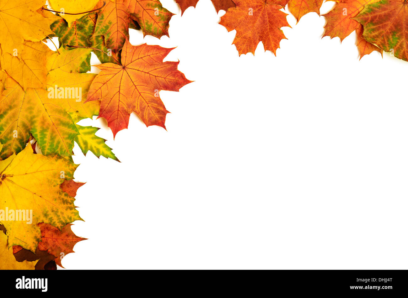 Autumn leaves frame Stock Photo - Alamy
