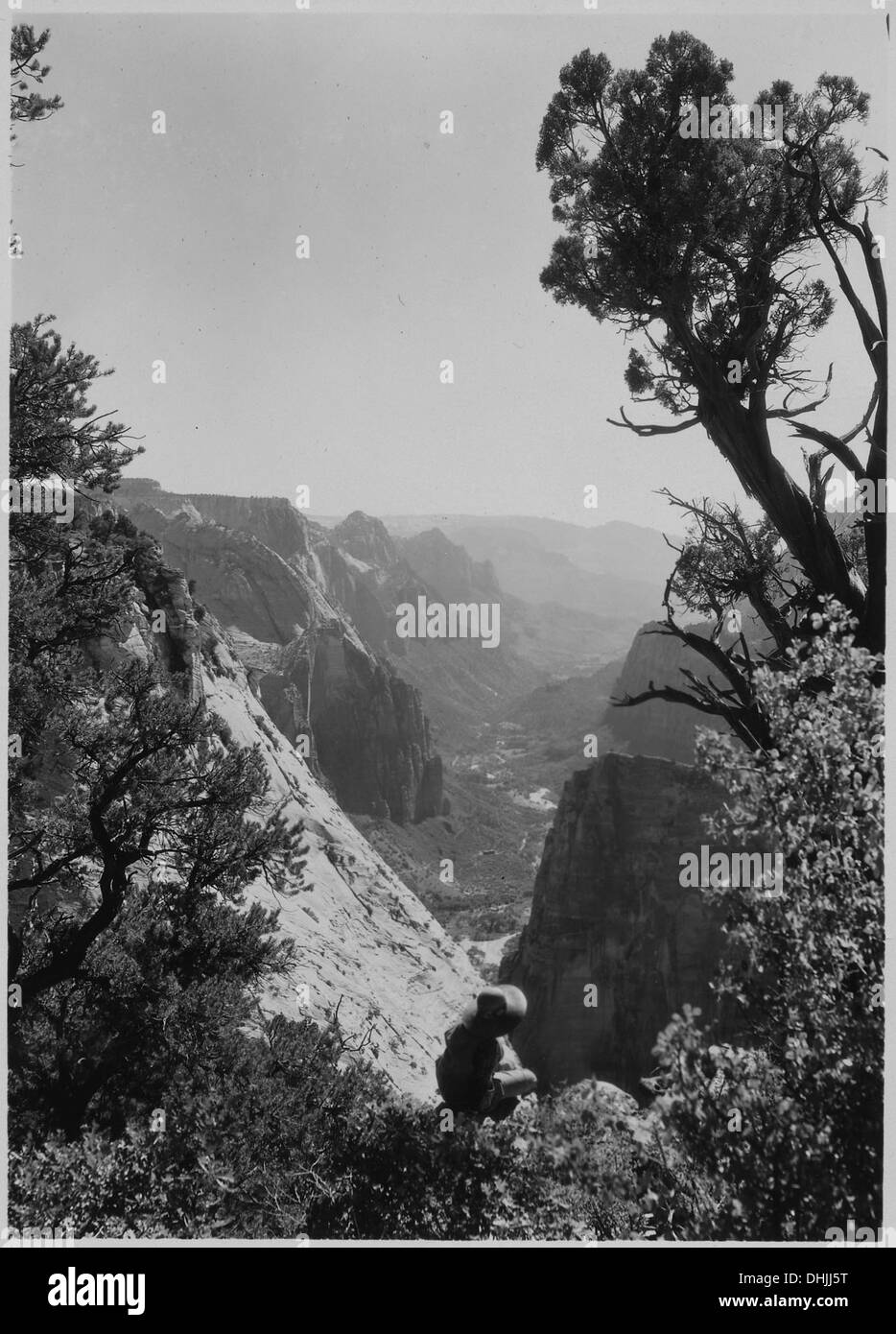 This photograph provides a breathtaking view down Zion Canyon from the ...
