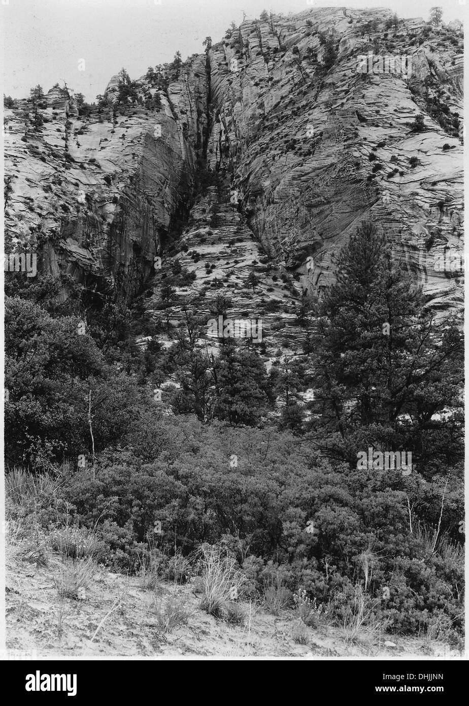 A photograph showcasing a vertically branching fissure, seen on the ...