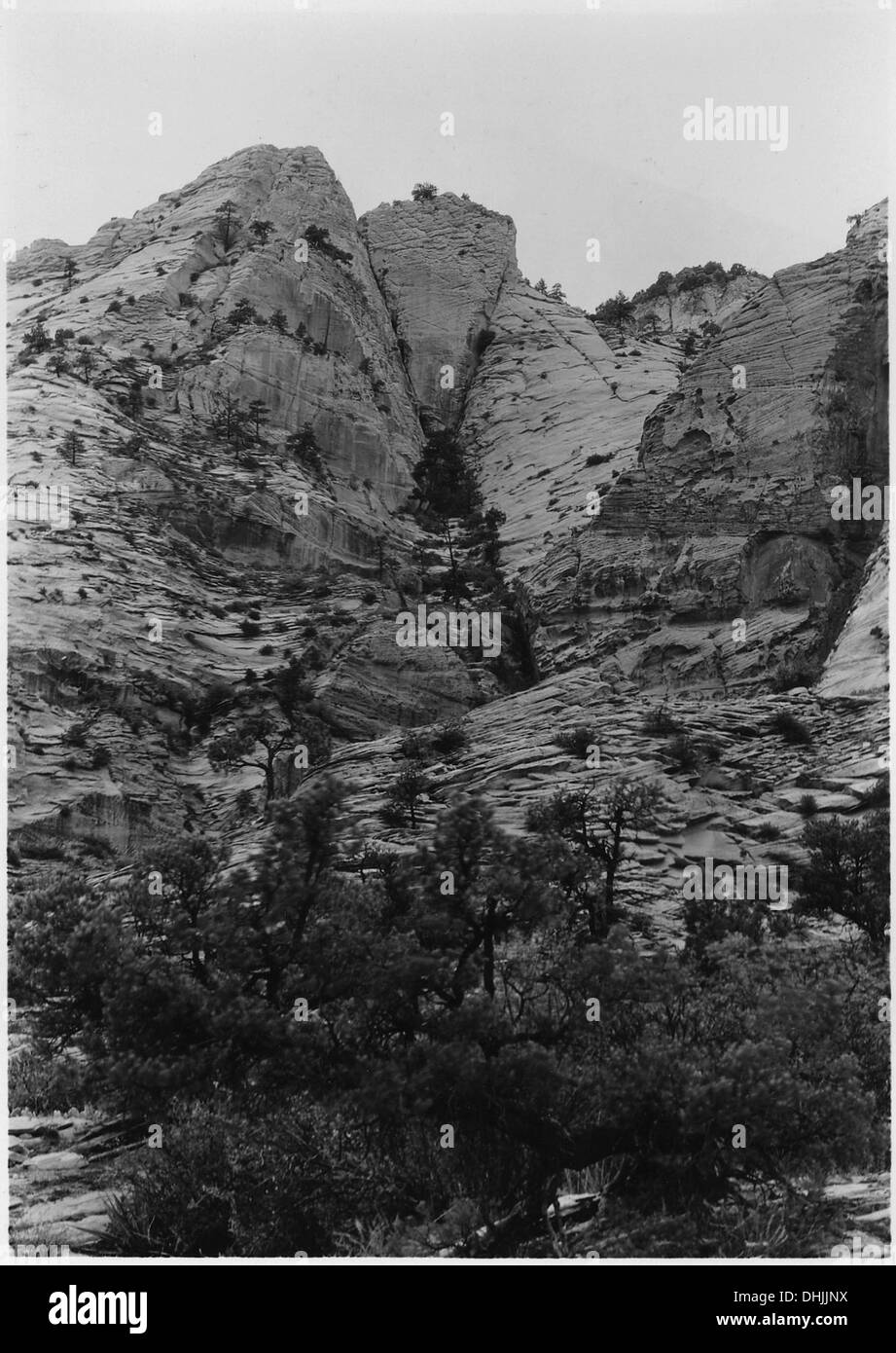 A vertical branching fissure near Mt. Carmel Road in southern Utah ...