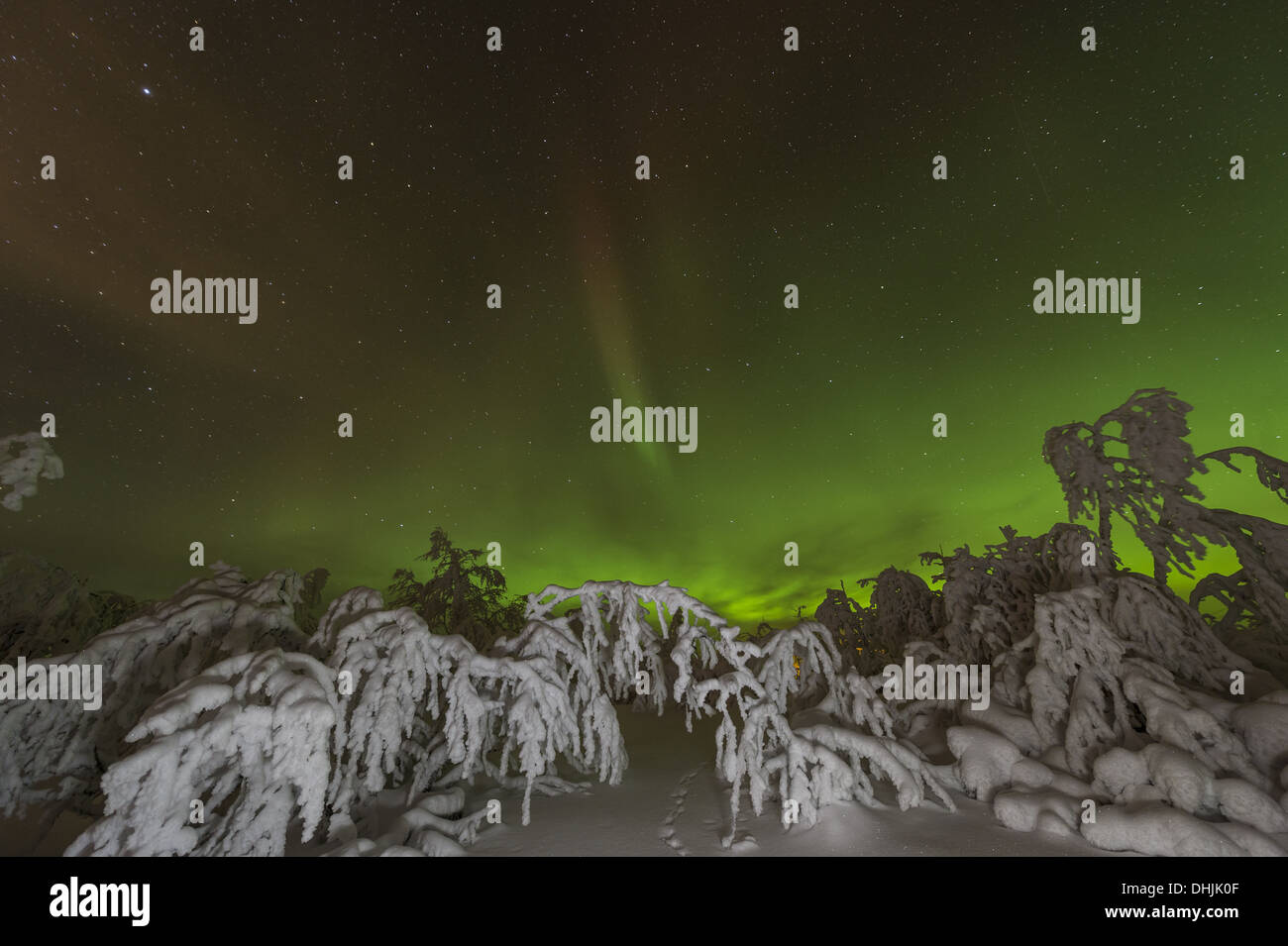 Northern lights (Aurora borealis), Sweden Stock Photo - Alamy