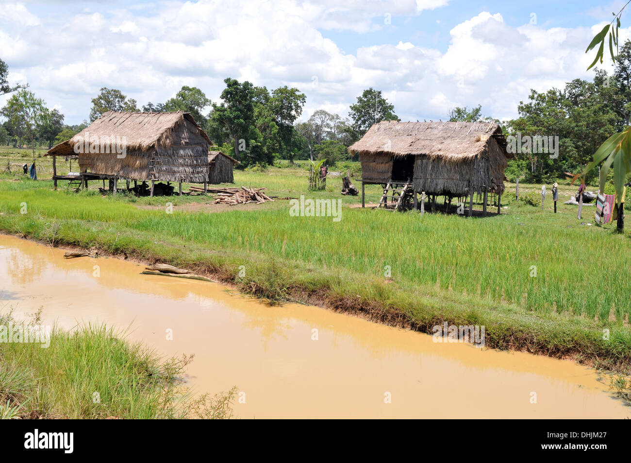 The poorly built housing in Siem Reap, Cambodia Stock Photo - Alamy