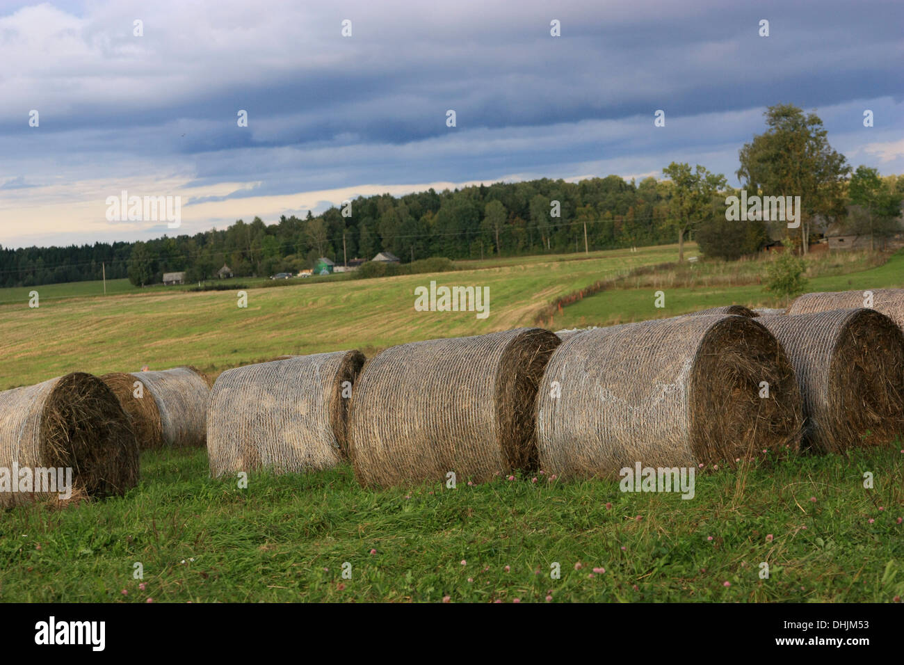 Straw cylinders hi-res stock photography and images - Alamy