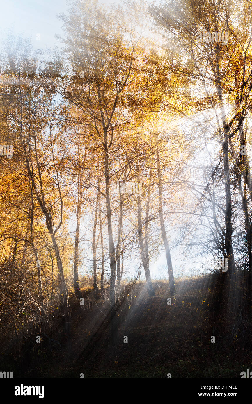 Bright rays hi-res stock photography and images - Alamy