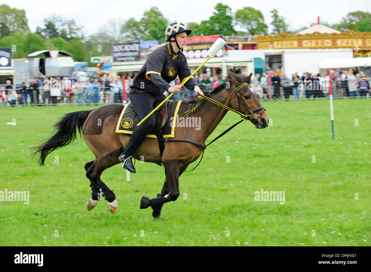 Romsey county show hi-res stock photography and images - Alamy