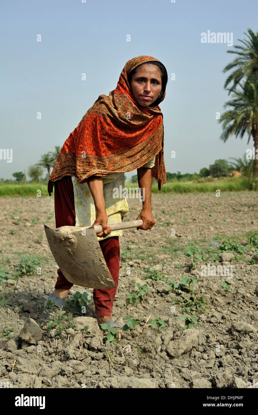 Women pakistan working hi-res stock photography and images - Alamy