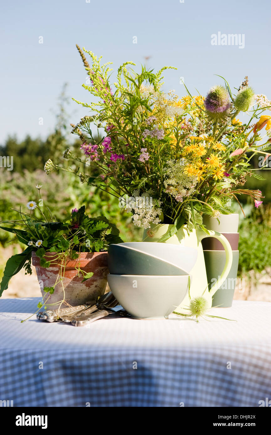 Fresh herbs in the garden, herbage, garden, Homegrown Stock Photo - Alamy