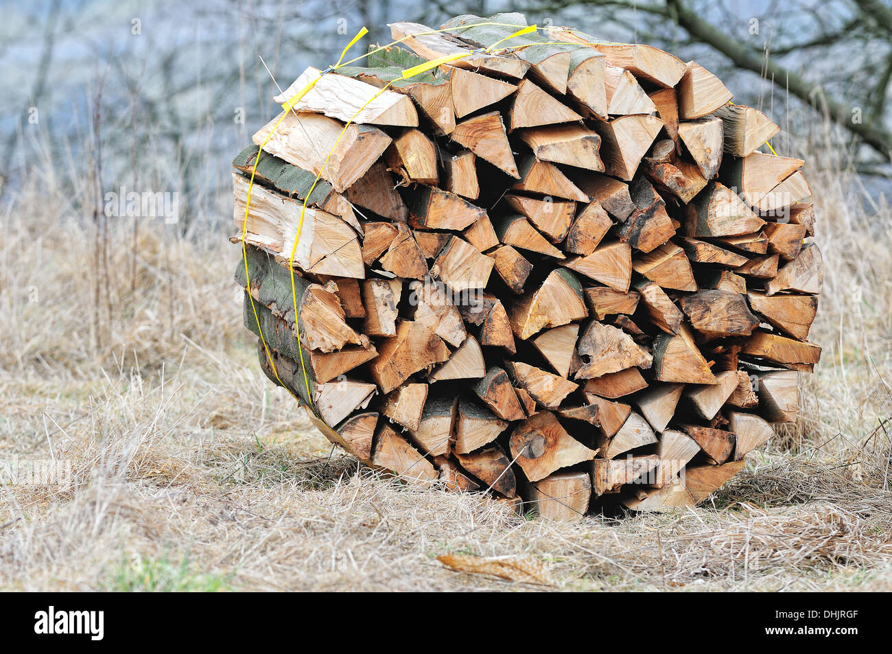 a stere beech wood packed Stock Photo - Alamy