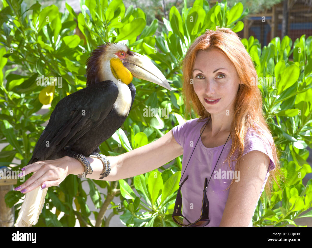 Woman and wild bird hi-res stock photography and images - Alamy