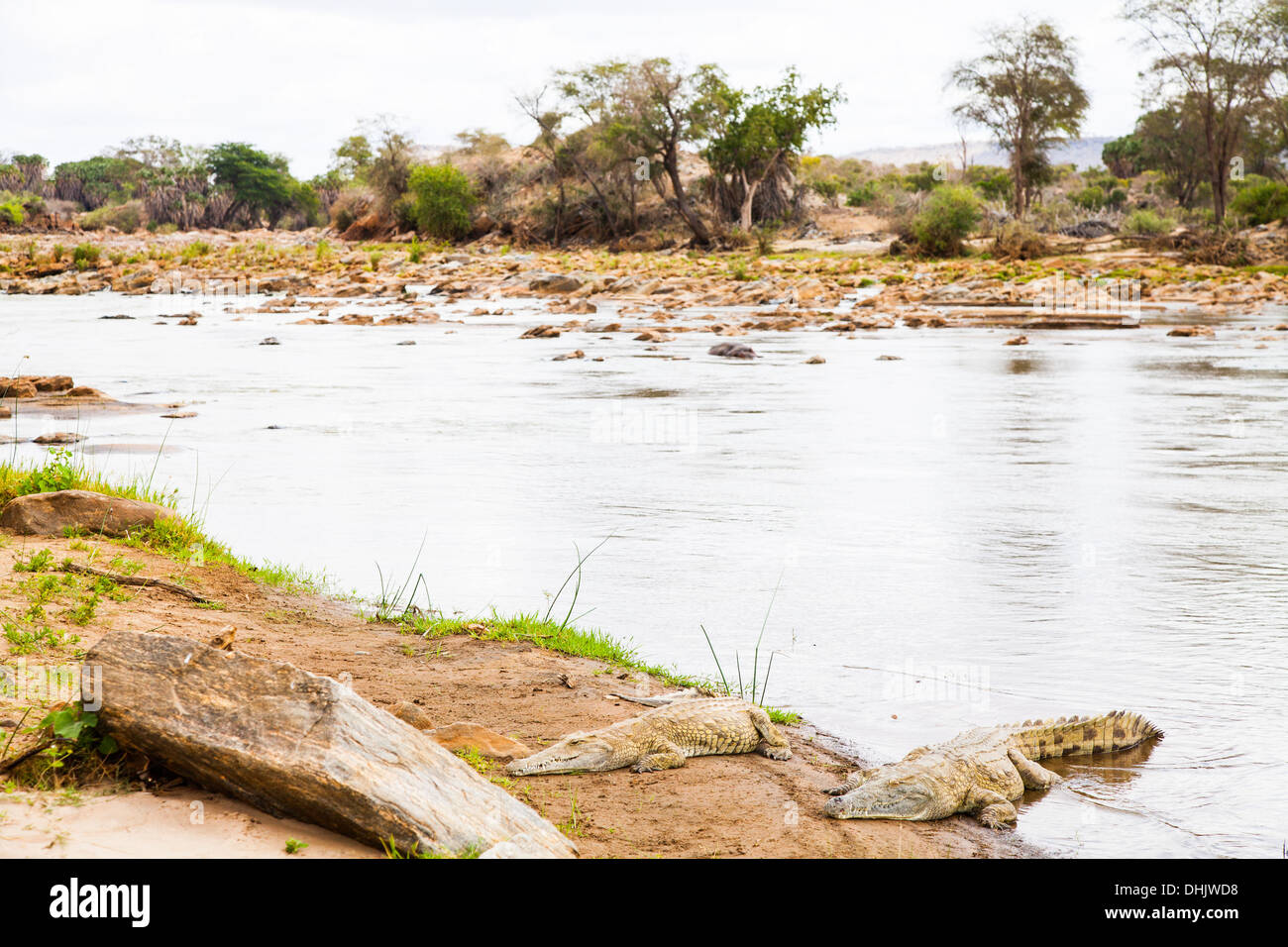 Kenian hi-res stock photography and images - Alamy