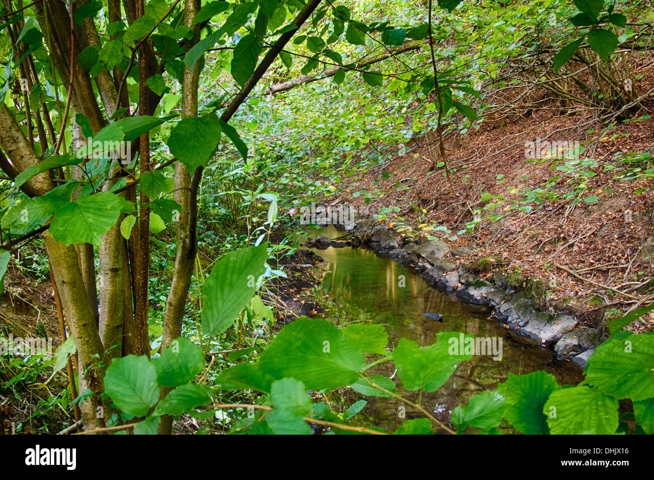 Little bach hi-res stock photography and images - Alamy
