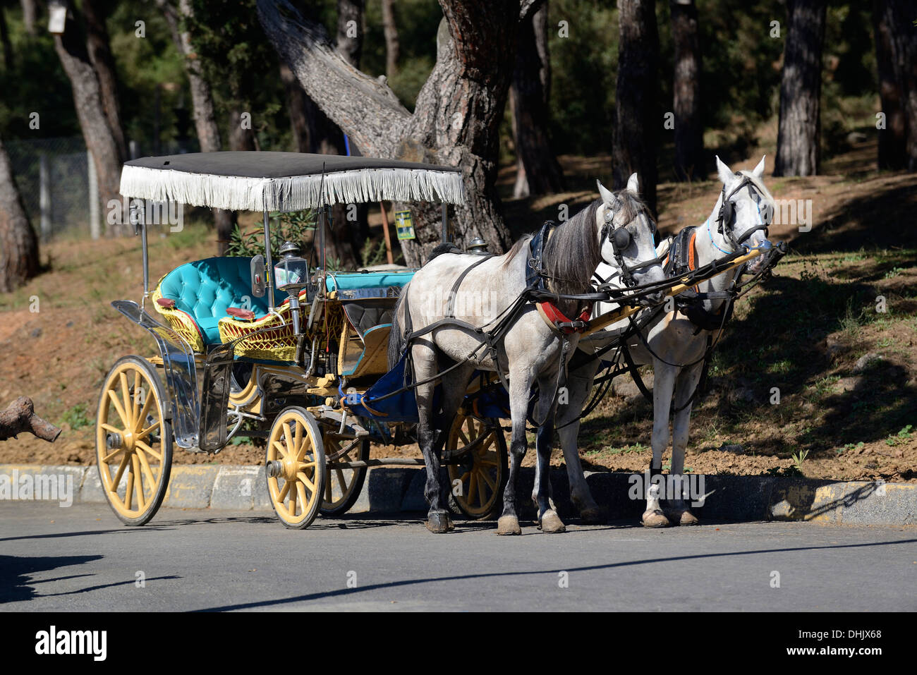 Turkey, Istanbul, Horse-drawn carriage on Buyukada Stock Photo - Alamy