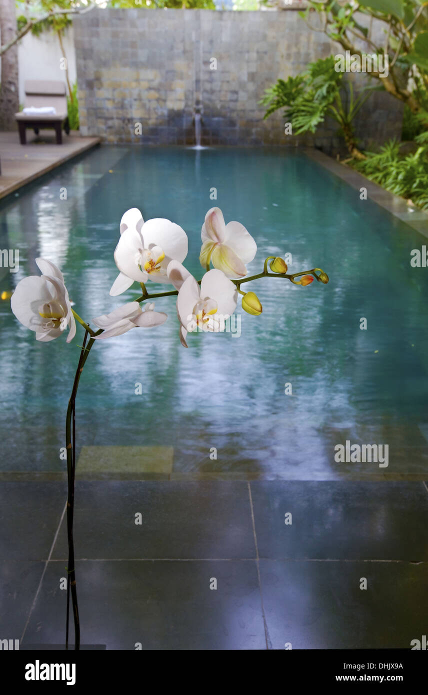 Orchid villa hi-res stock photography and images - Alamy