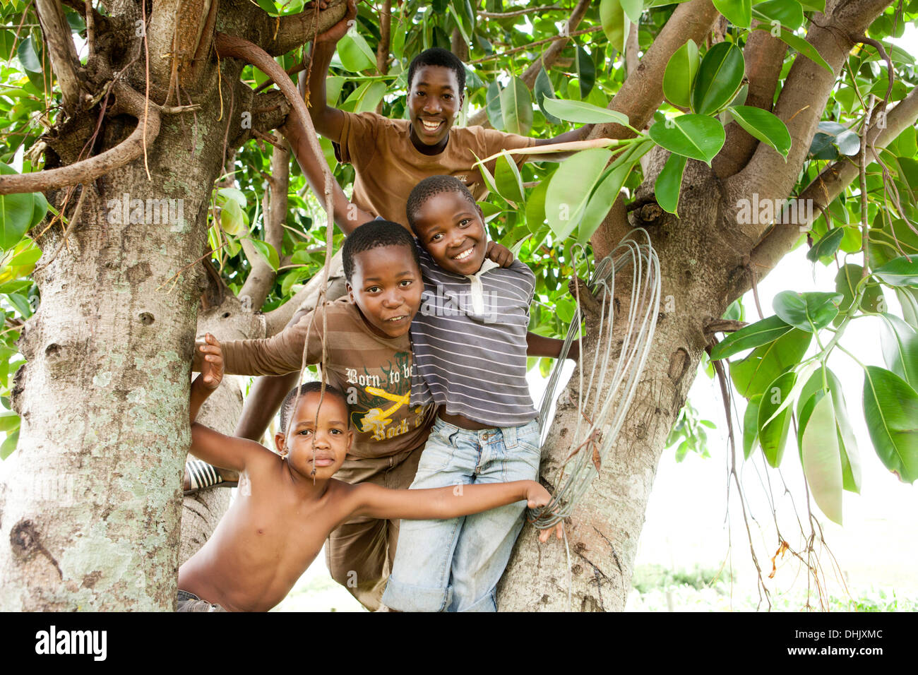 African boy climbing tree hi-res stock photography and images - Alamy