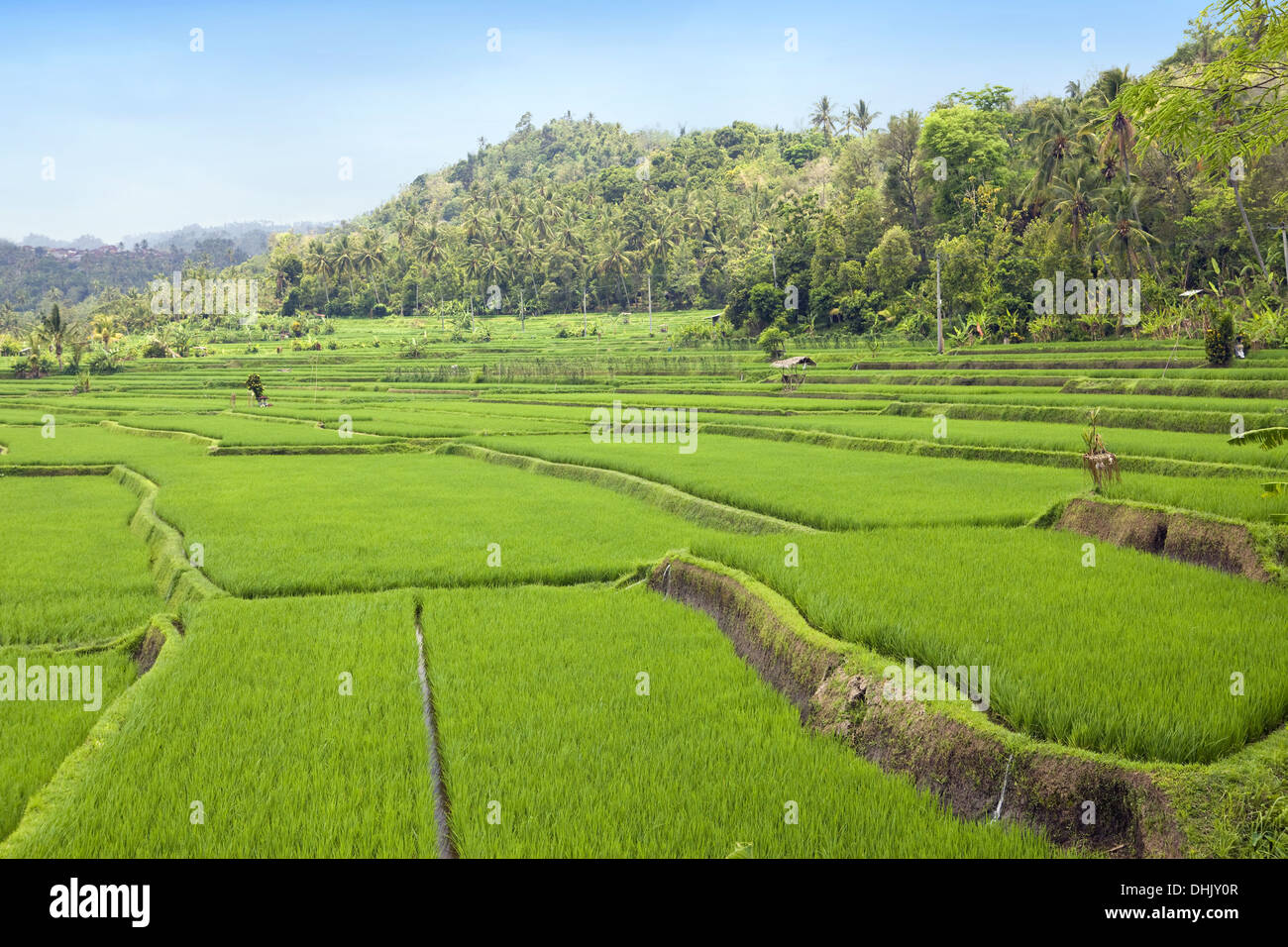 Grass terraces hi-res stock photography and images - Alamy