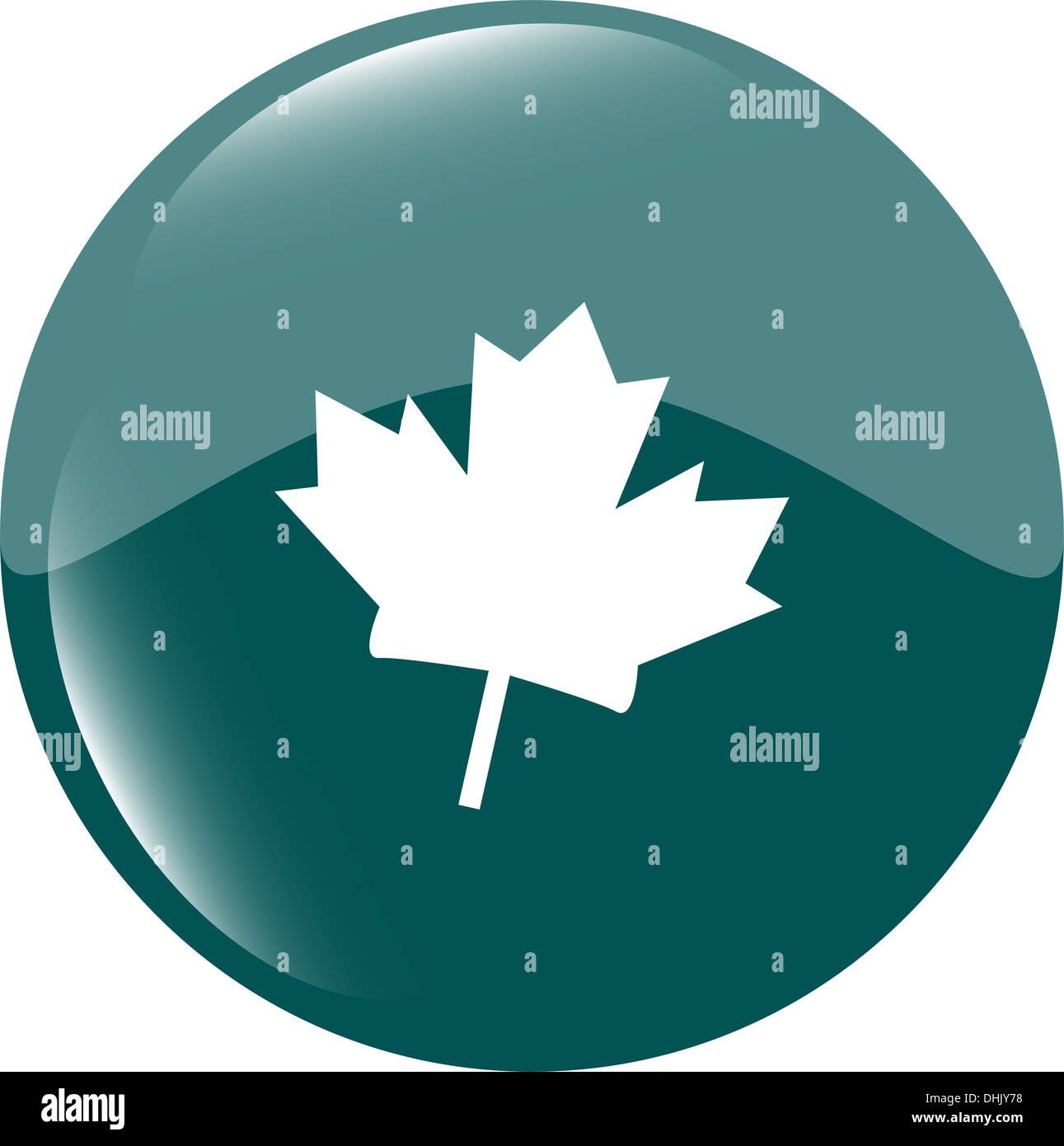 Simple round green leaf hi-res stock photography and images - Alamy