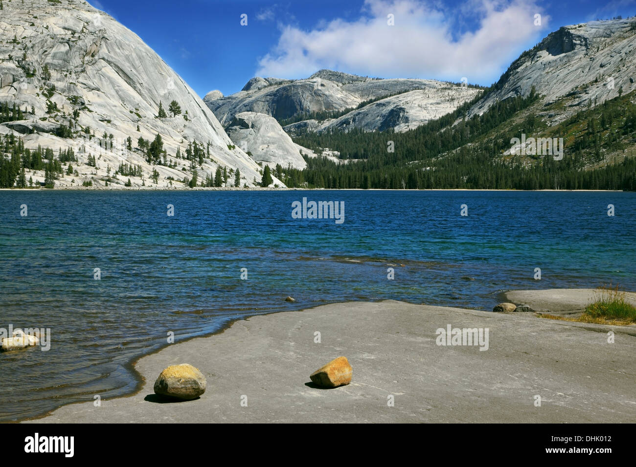 The shallow lake Stock Photo - Alamy