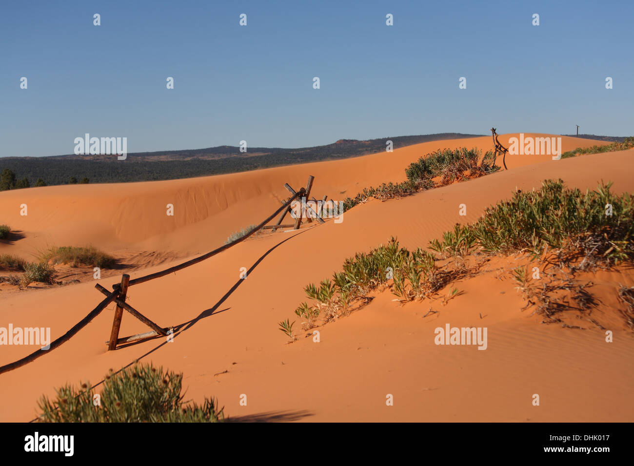 The orange glow of the sand Stock Photo - Alamy