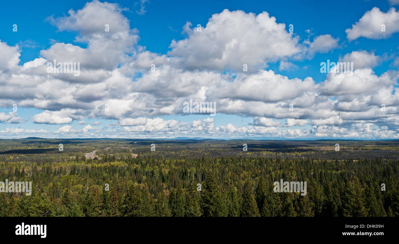 Canadian wilderness in Autumn under blue cloudy sky Stock Photo - Alamy