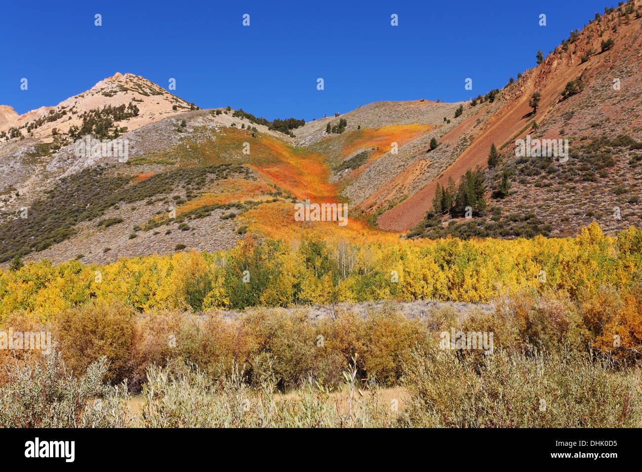 Summer california mountain hi-res stock photography and images - Alamy