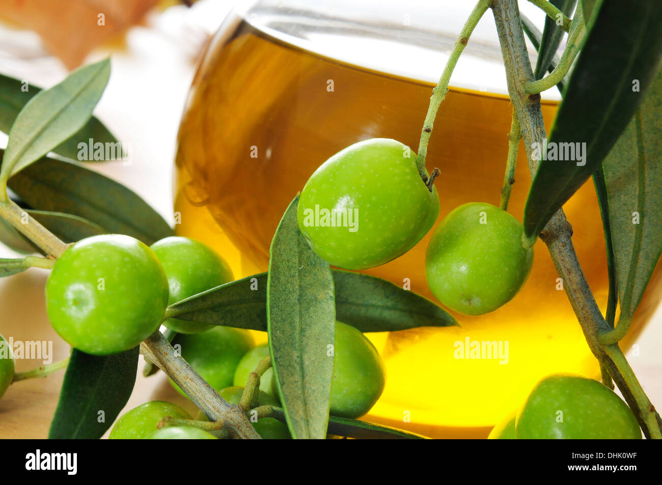 closeup of a branch of olive tree with olives and a bottle of olive oil ...