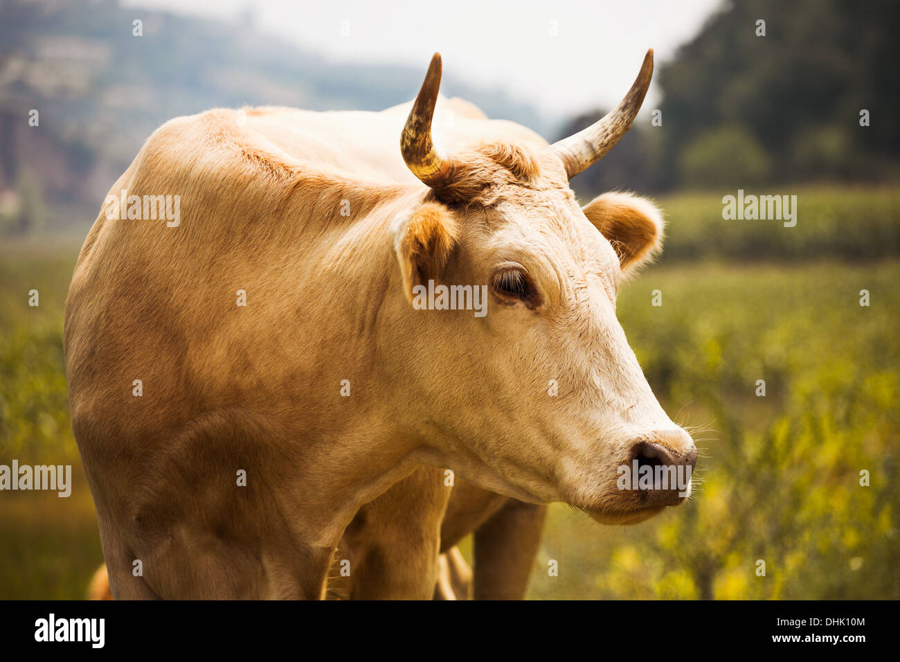 China shanxi rural hi-res stock photography and images - Alamy