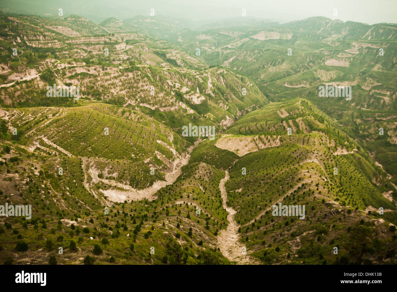 Reforested areas china hi-res stock photography and images - Alamy