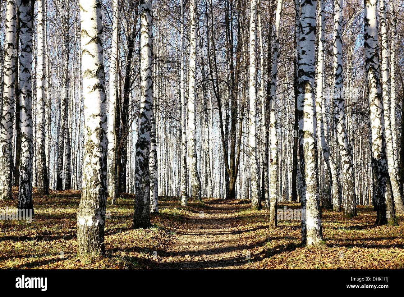 Sunny pathway hi-res stock photography and images - Alamy