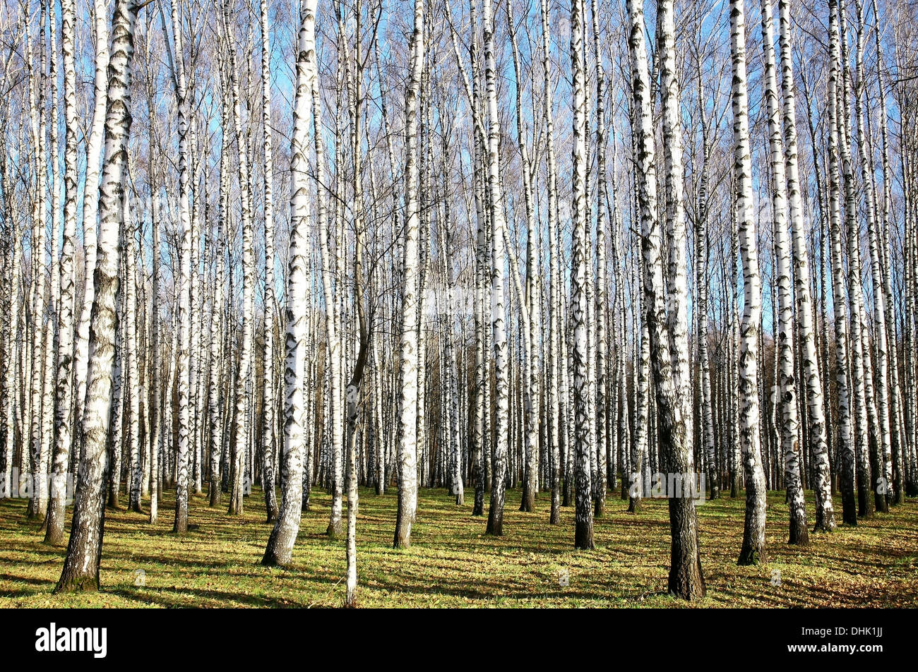 November weather hi-res stock photography and images - Alamy