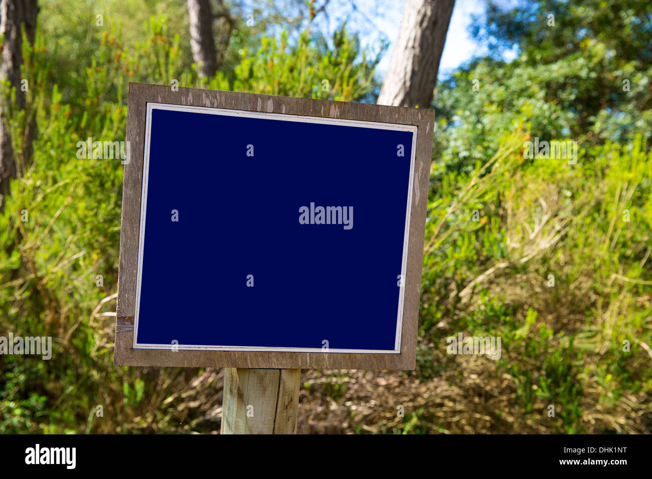 Pine arrow hi-res stock photography and images - Alamy