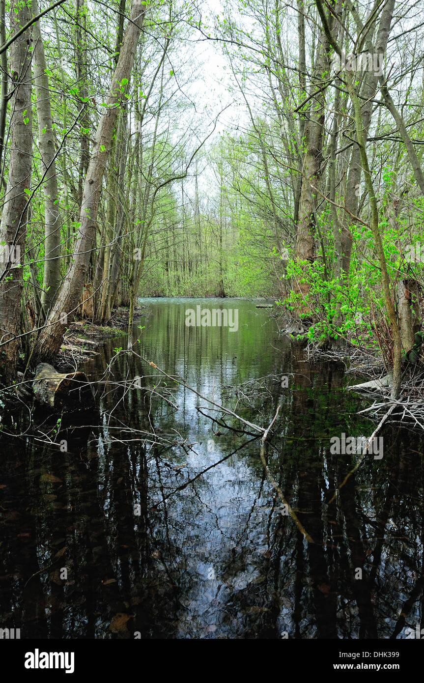 Riparian marsh hi-res stock photography and images - Alamy