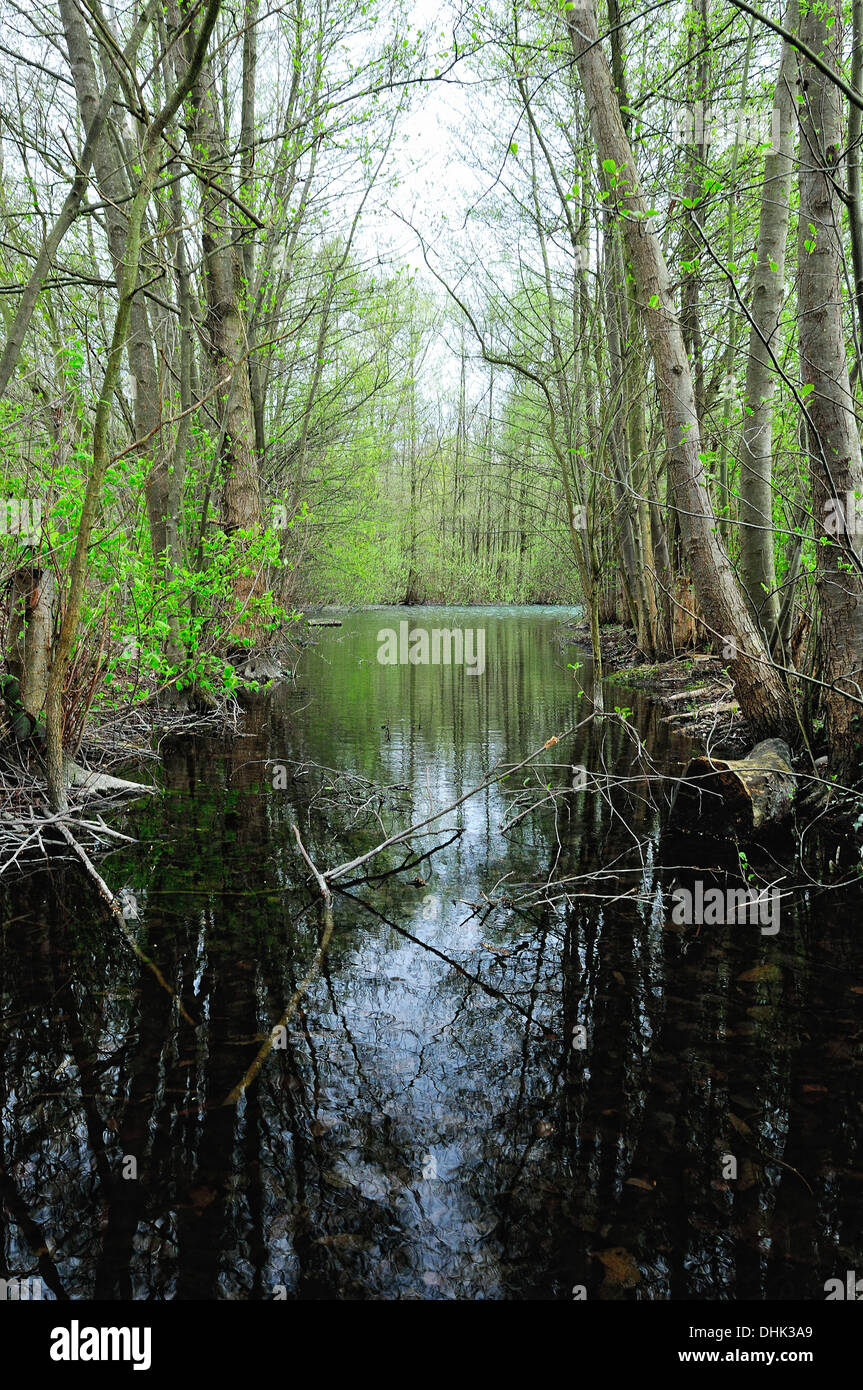 Riparian marsh hi-res stock photography and images - Alamy