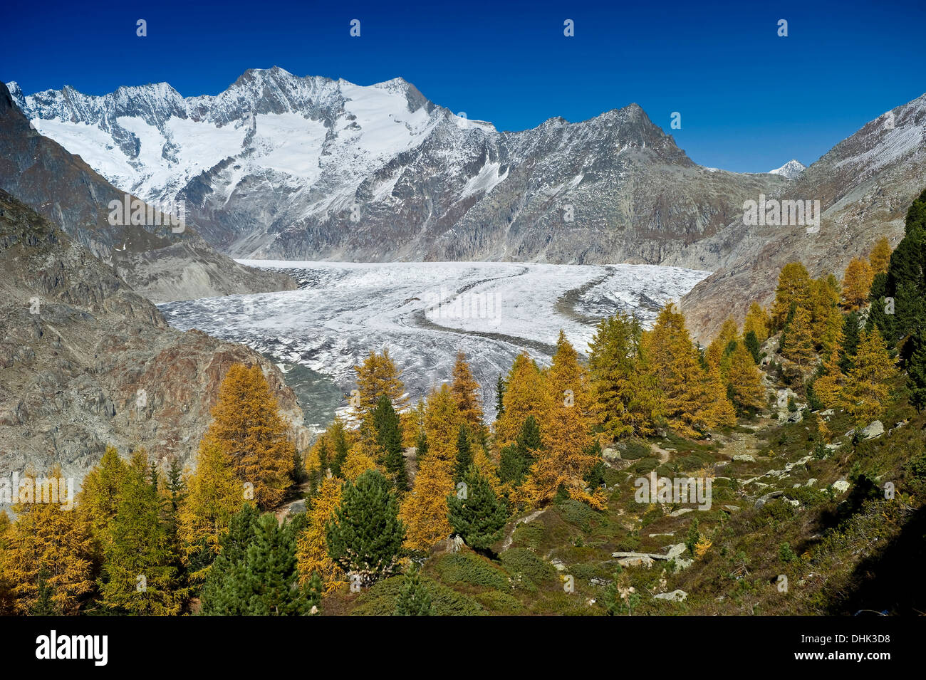 Aletsch Glacier and Aletsch Forest, UNESCO World Heritage site, Canton ...