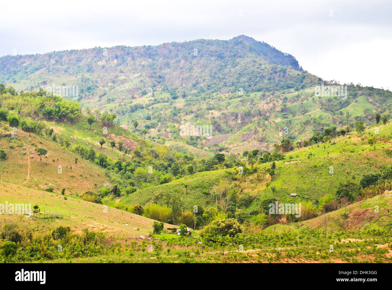 Aerial of tropical morning hi-res stock photography and images - Alamy