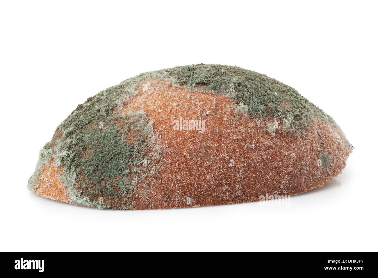 Mold Mouldy Bacterium Poisonous High Resolution Stock Photography and ...