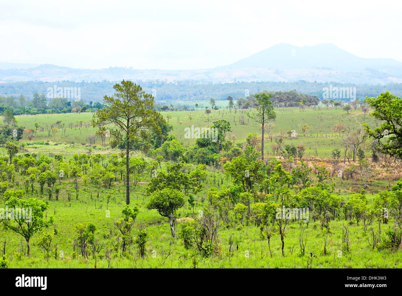 Tropical mountain slope hi-res stock photography and images - Alamy