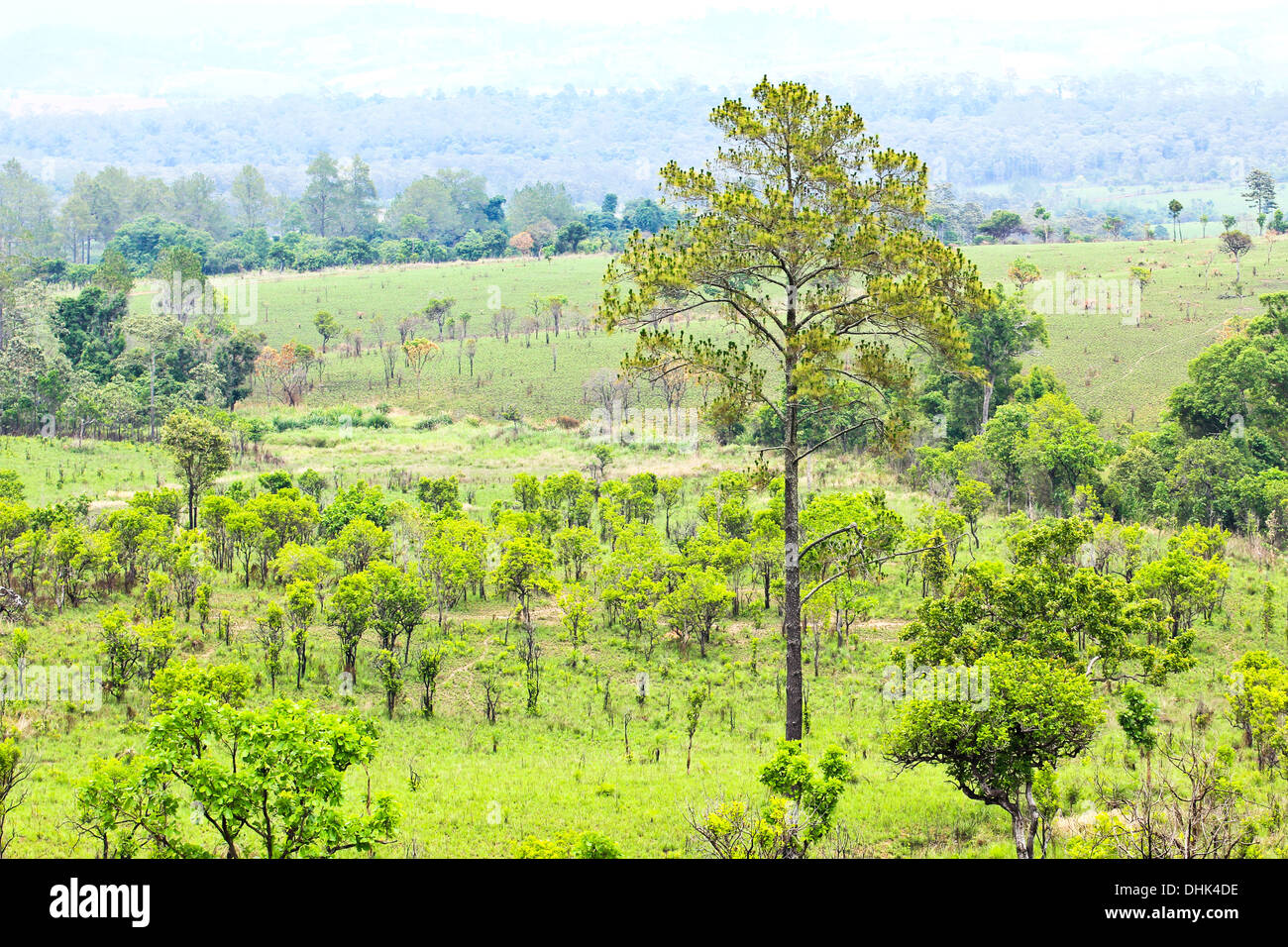 Tropical mountain slope hi-res stock photography and images - Alamy