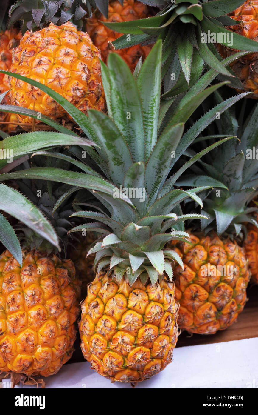 Pineapples culture hi-res stock photography and images - Alamy