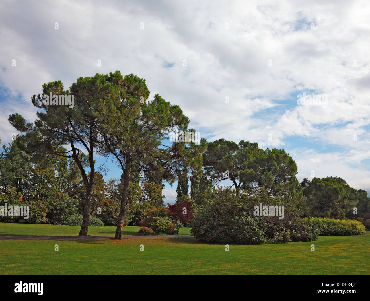 Lush green glade hi-res stock photography and images - Alamy