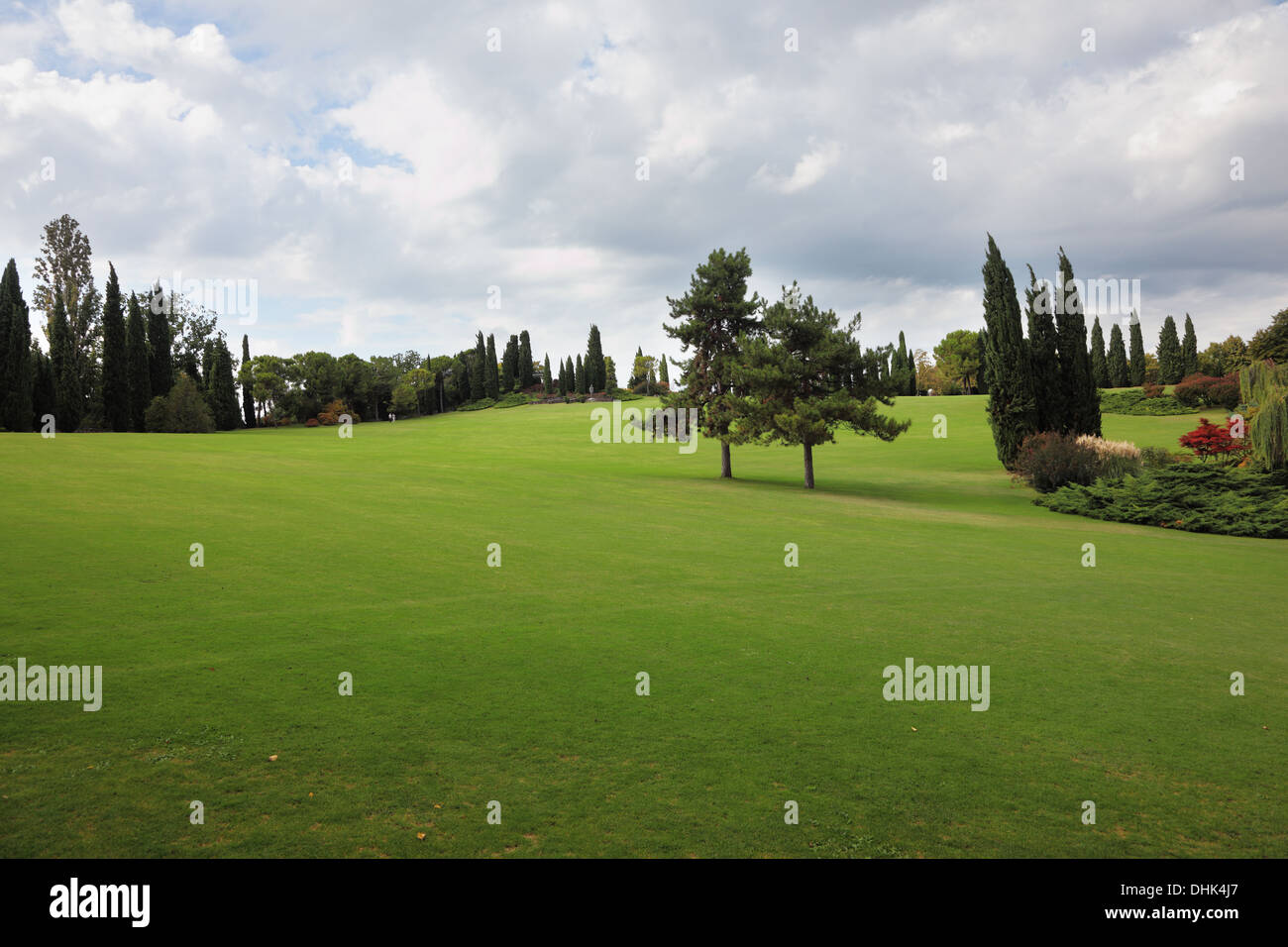 Field in the park hi-res stock photography and images - Alamy