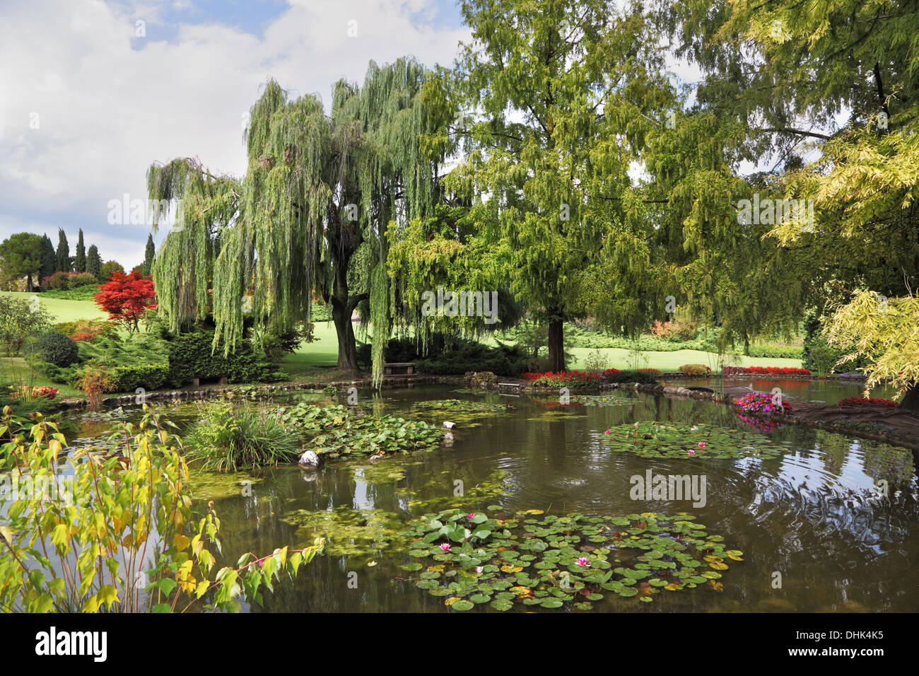 Pond and trees hi-res stock photography and images - Alamy