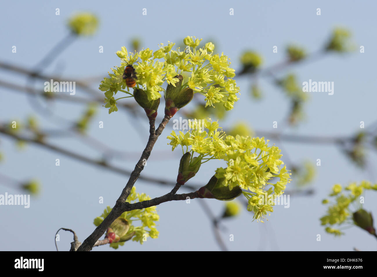 Parks in norway hi-res stock photography and images - Alamy