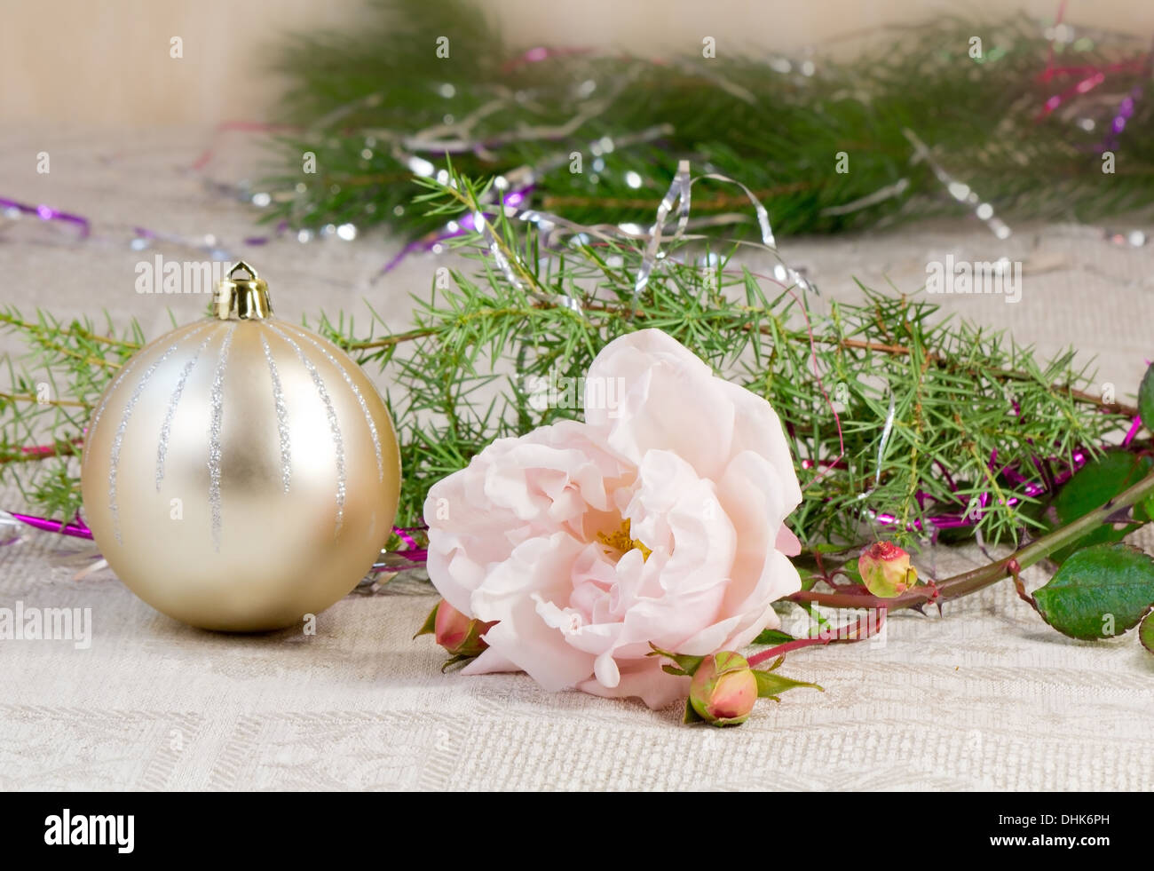 Beautiful shiny white ball , rose and branches of a Christmas tree ...