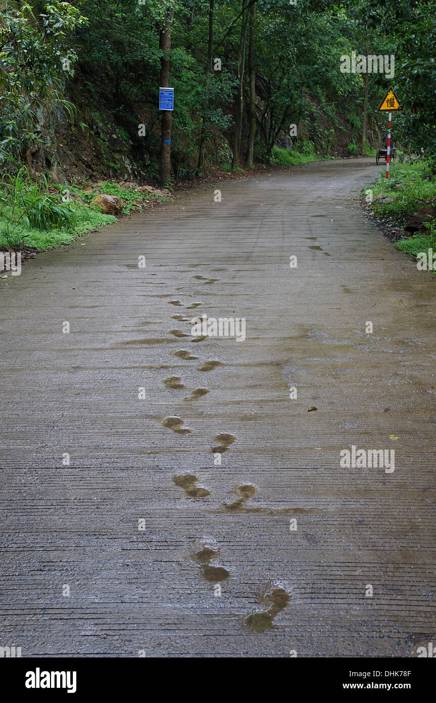 Footsteps leading down a wet countryside road Stock Photo - Alamy