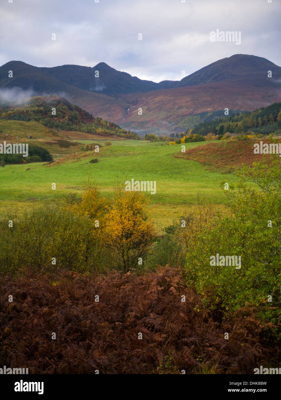 Mhuilin hi-res stock photography and images - Alamy