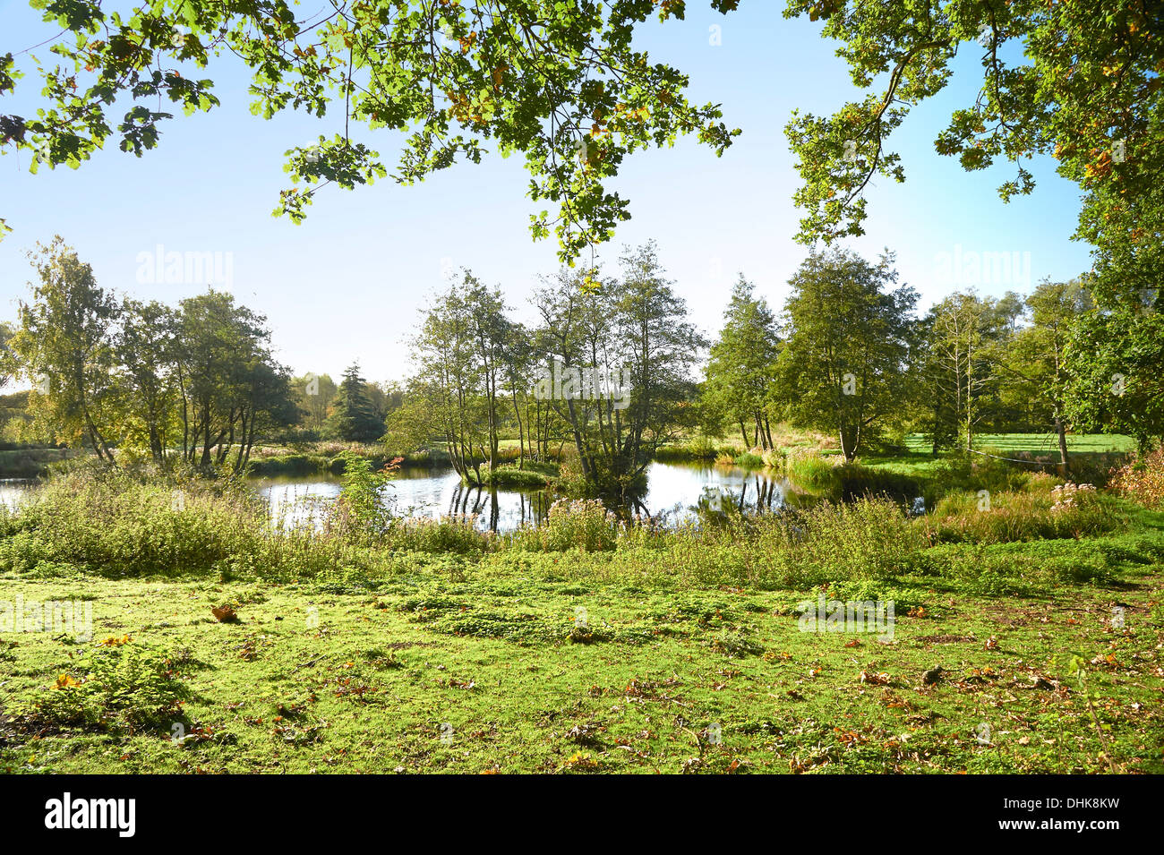 British landscape views of trees and lakes Stock Photo - Alamy